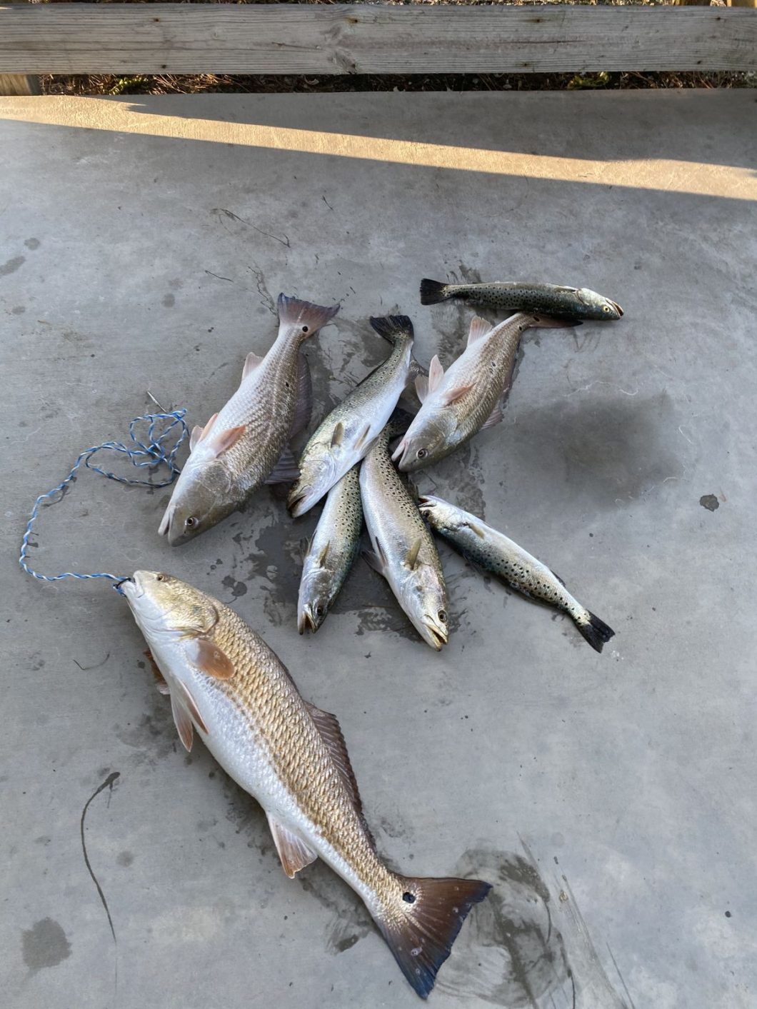 120 Main Sail Ln Cape San Blas, Florida 32456 – Best hunting land and ...